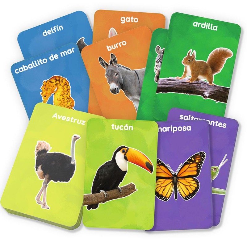 LUDILO Flash Cards: letras, números formas y colores, Educational toys ...